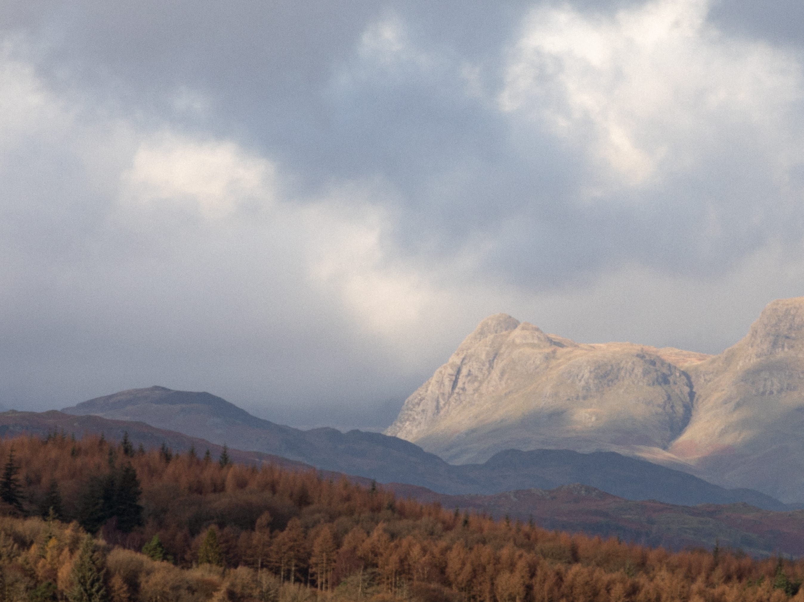 Luxury Leather & Sheepskin Garments | Lakeland Leather